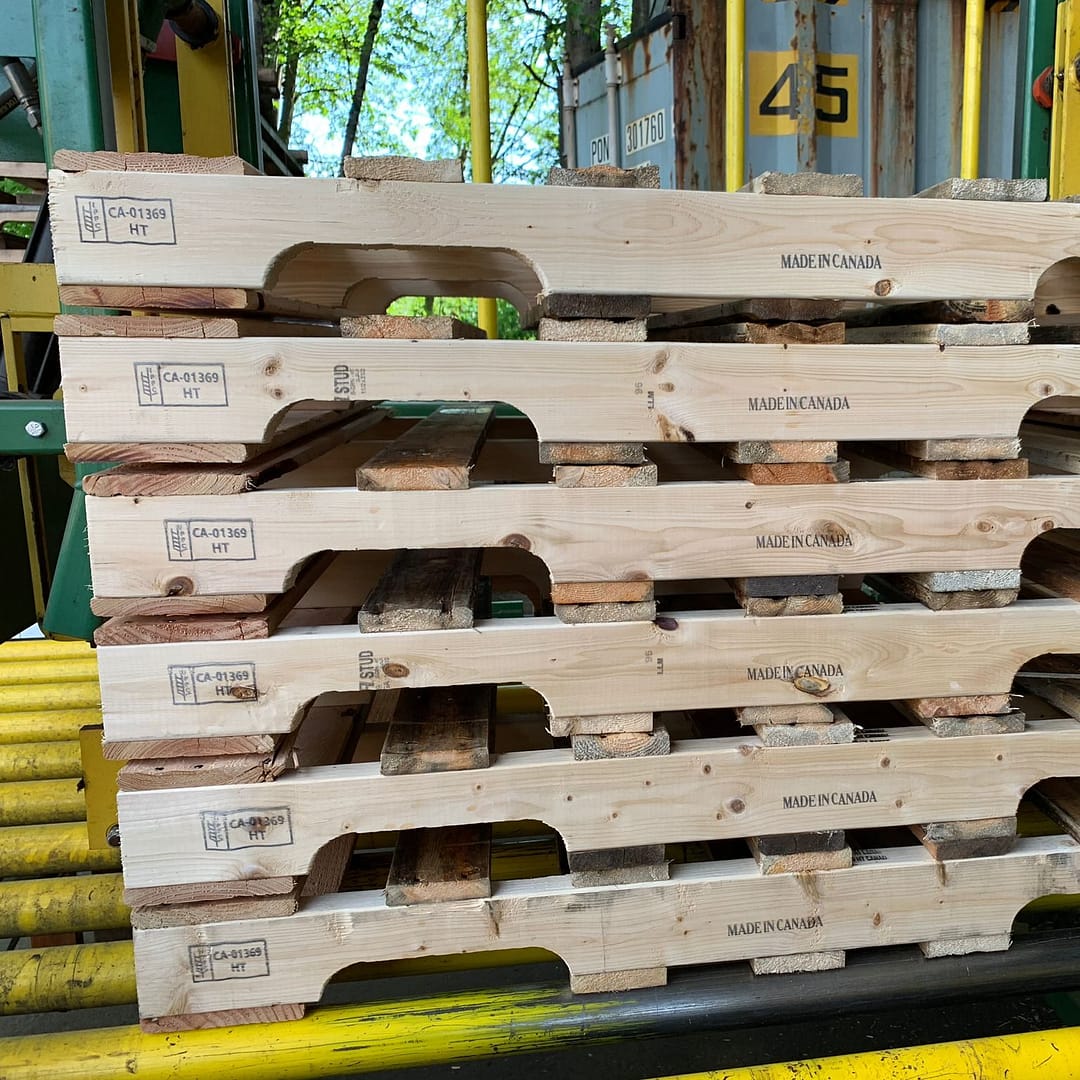 Best Batch Coding Machine LOT Coding & Batch number Printer